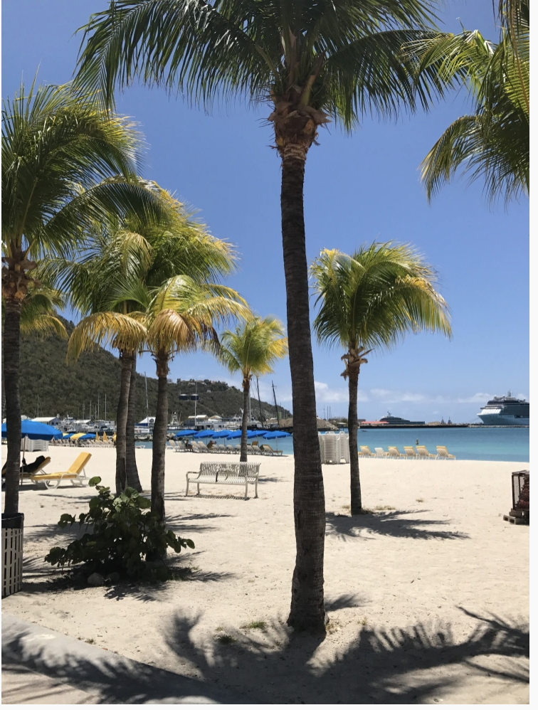 It’s a Port Day – What You Need to Know – Zest4Travel